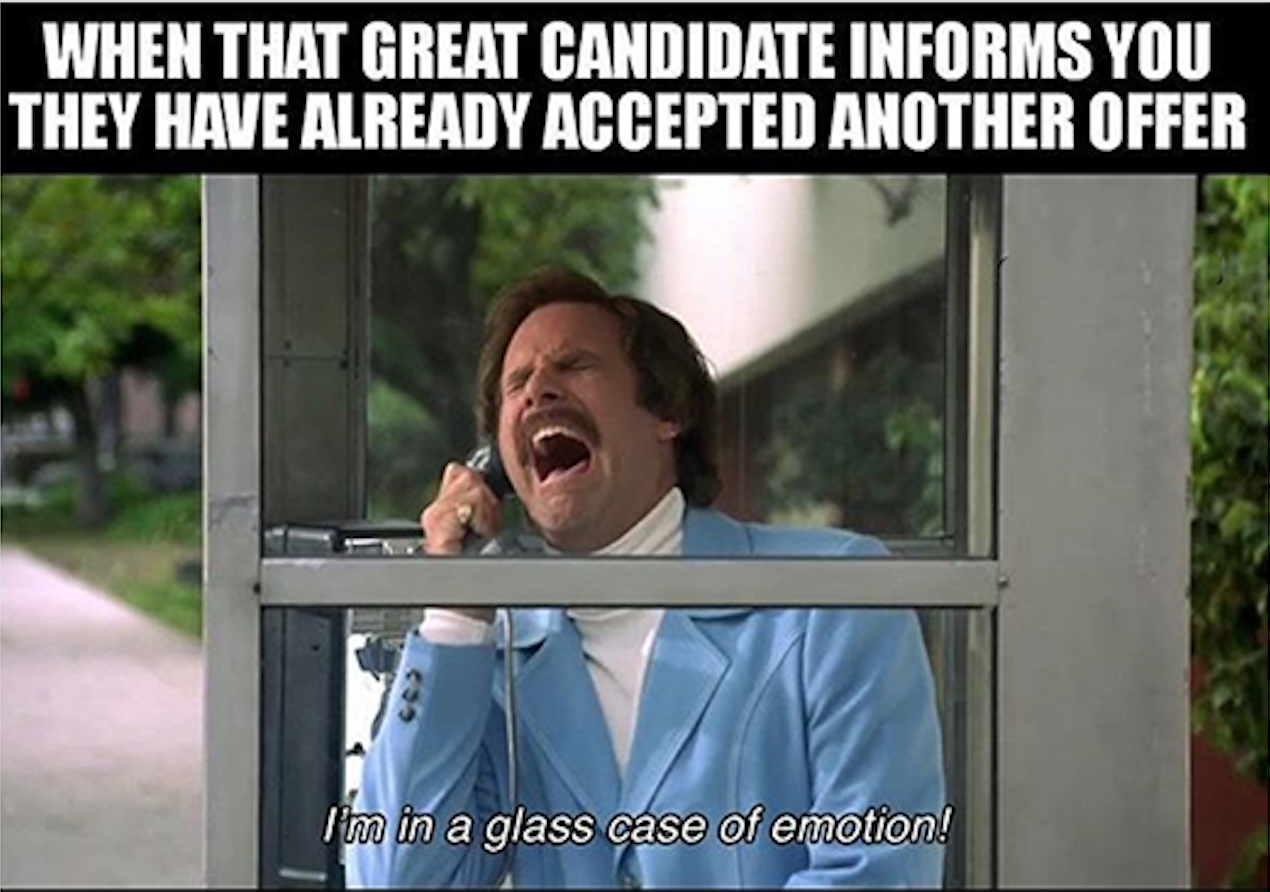 35+ Most Hilarious Hiring & Recruitment Memes of 2026 | Blog | Hivemind